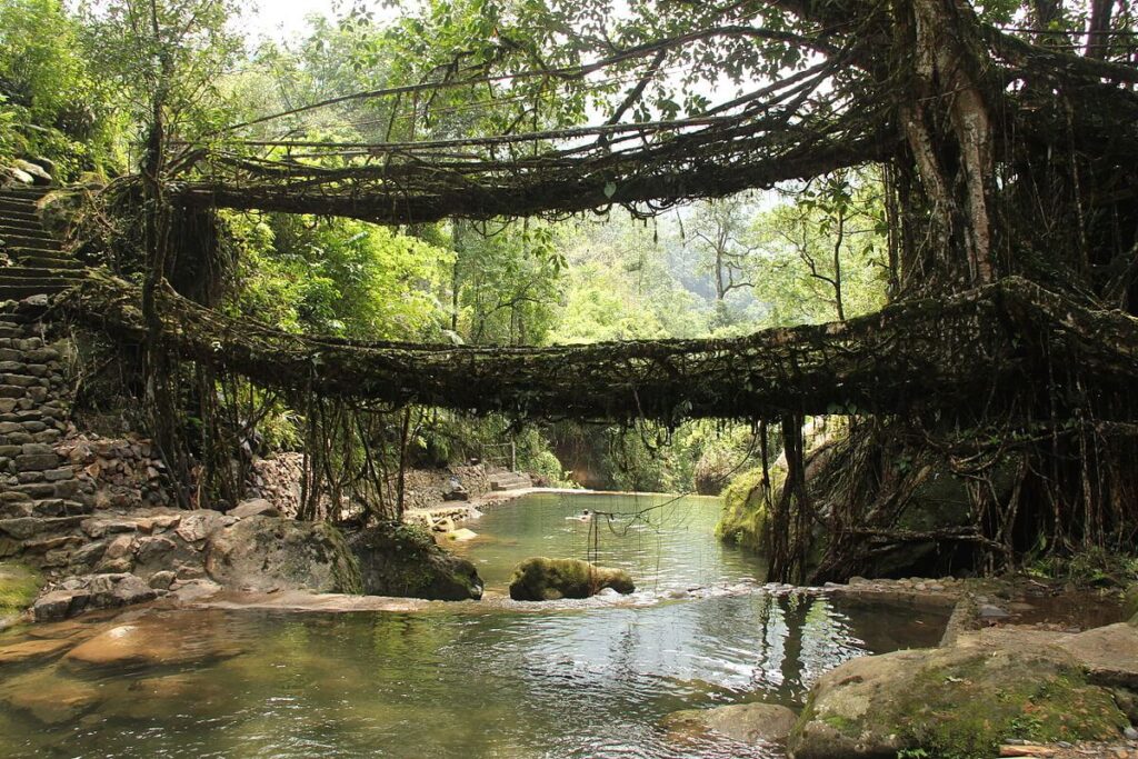 10 Places to Visit in North East India in March 2026