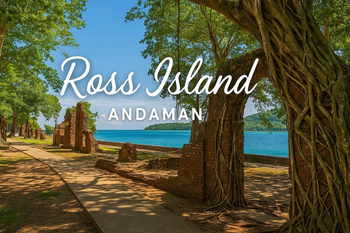 Ross Island Travel Guide: Top Sights and Activities