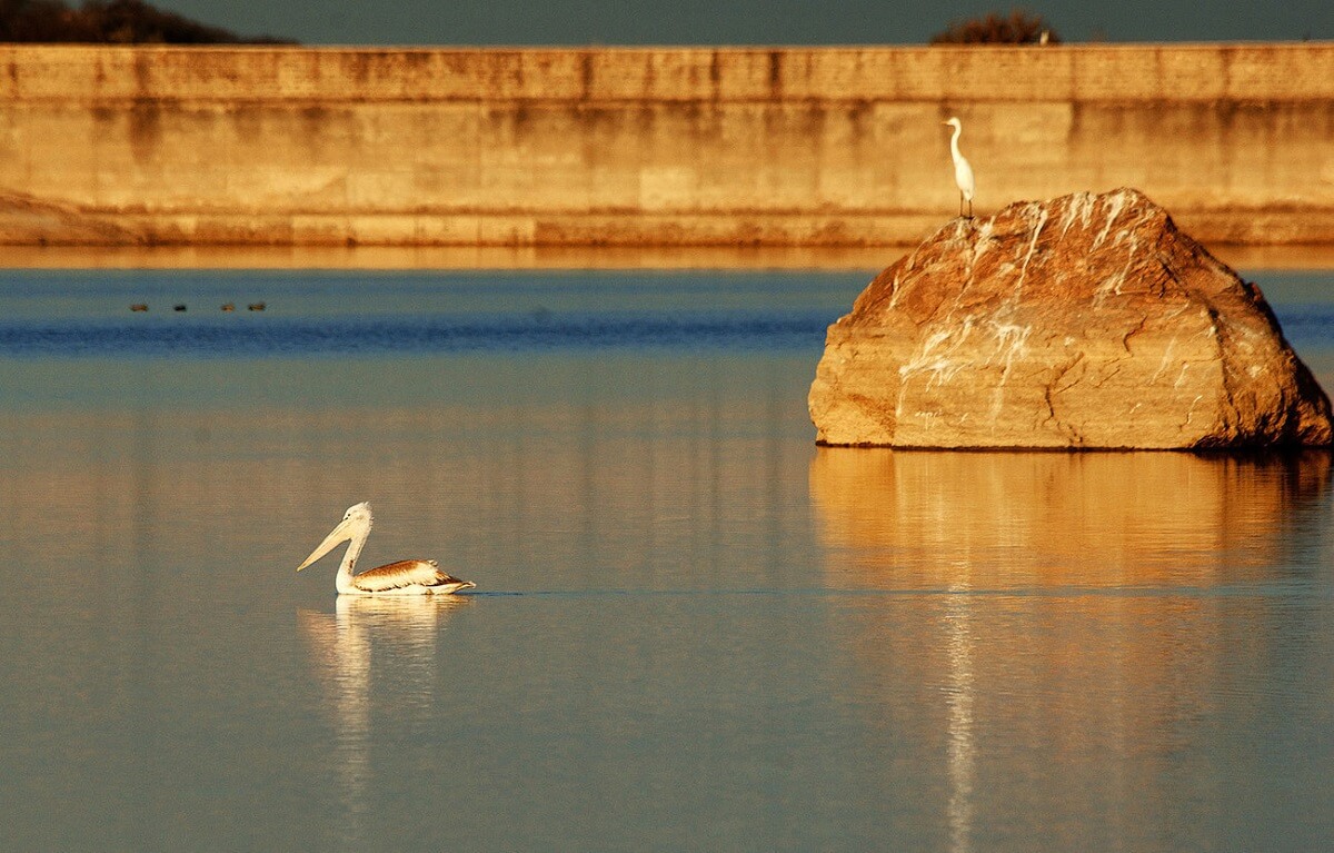 Deogarh, Rajasthan Travel Guide: Things to Do & How to Reach